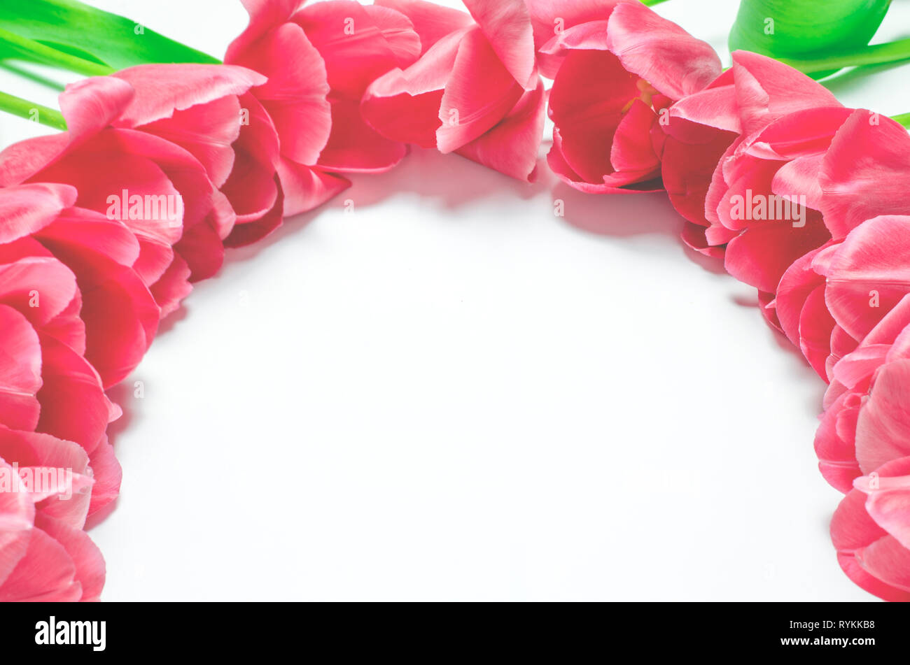 Fresh spring flowers in the garden with soft sunlight for your ...