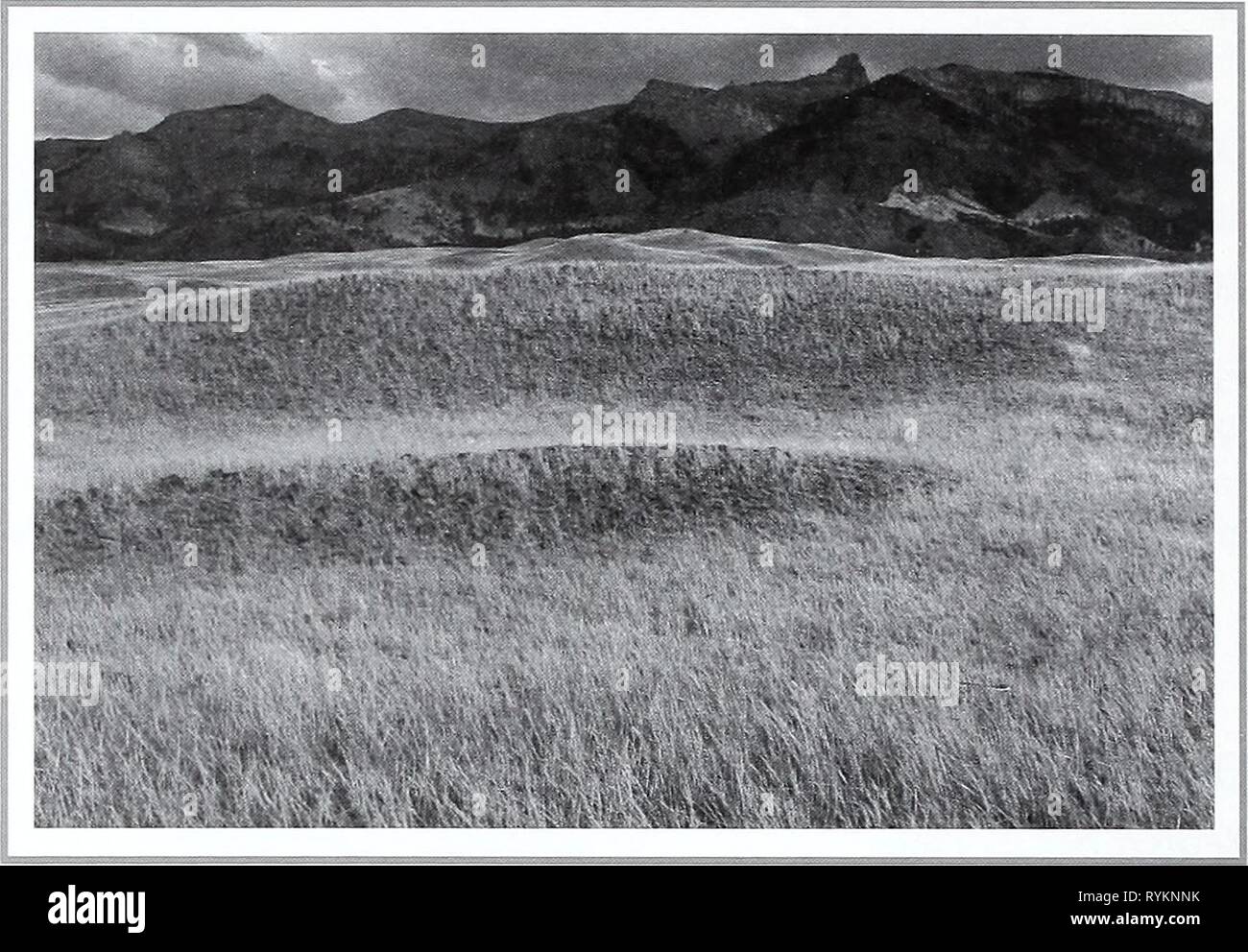 Gravel pit historical hi-res stock photography and images - Alamy