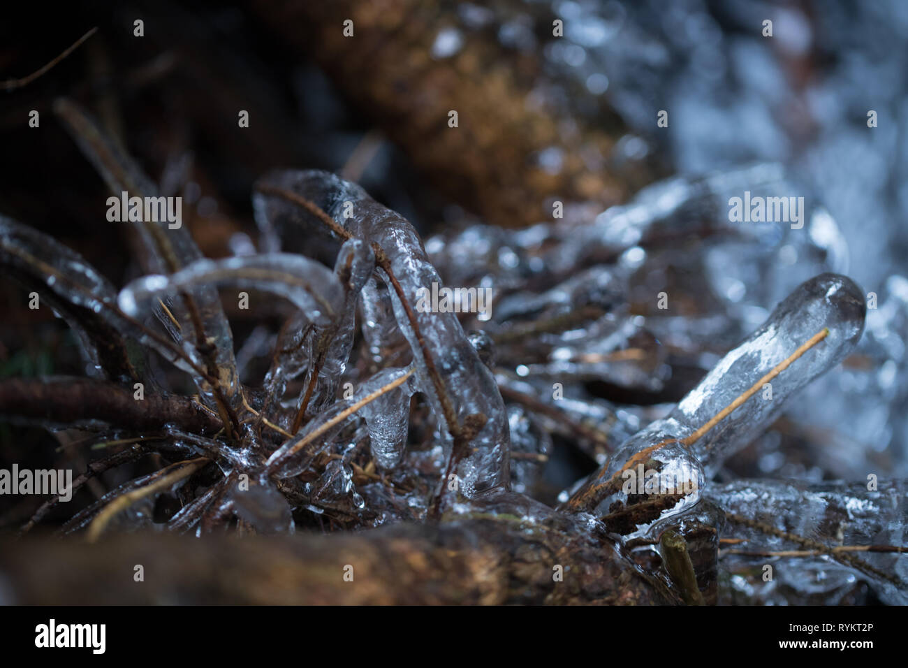 ice, icicles in water Stock Photo - Alamy
