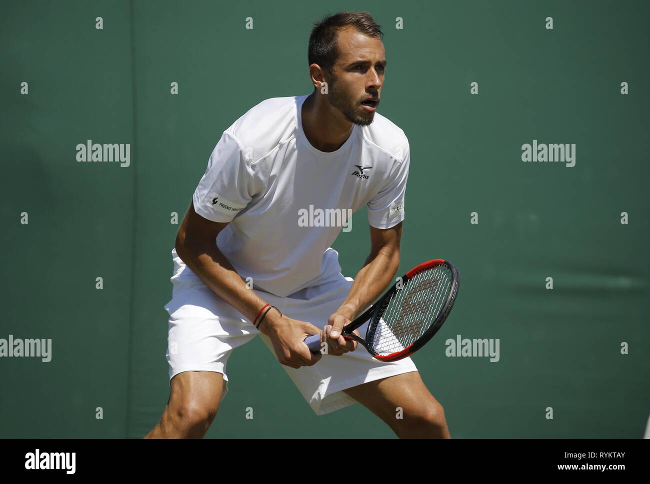 Lukas Rosol High Resolution Stock Photography and Images - Alamy