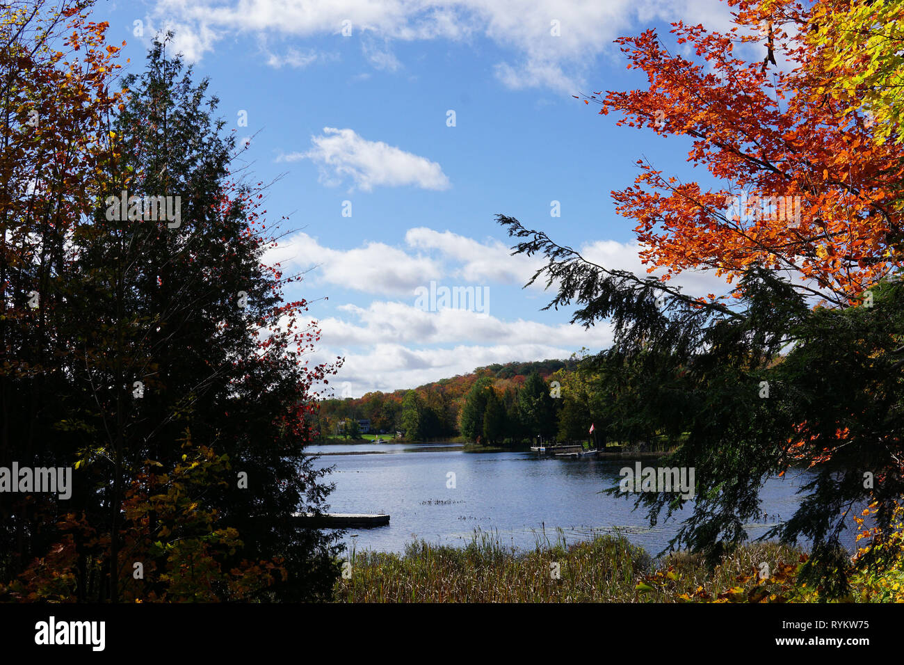 Fall Colours in Muskoka Stock Photo - Alamy