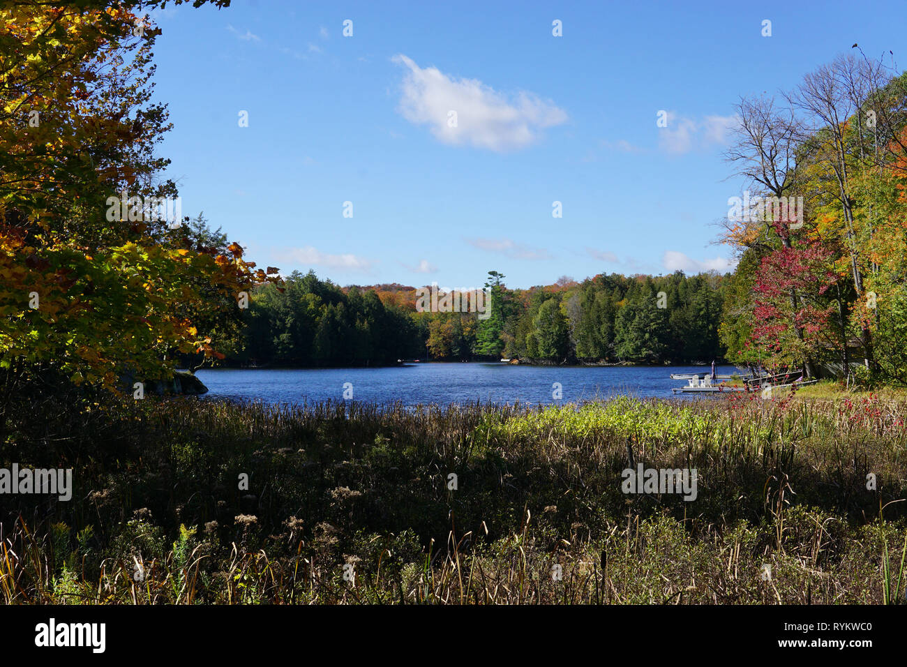Fall Colours in Muskoka Stock Photo - Alamy