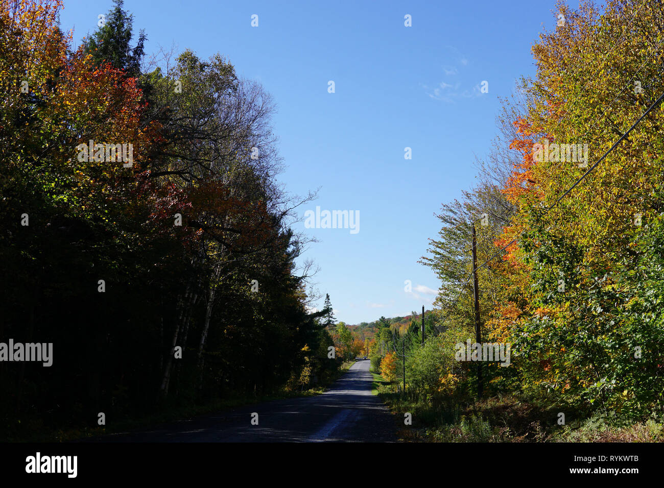 Fall Colours in Muskoka Stock Photo - Alamy
