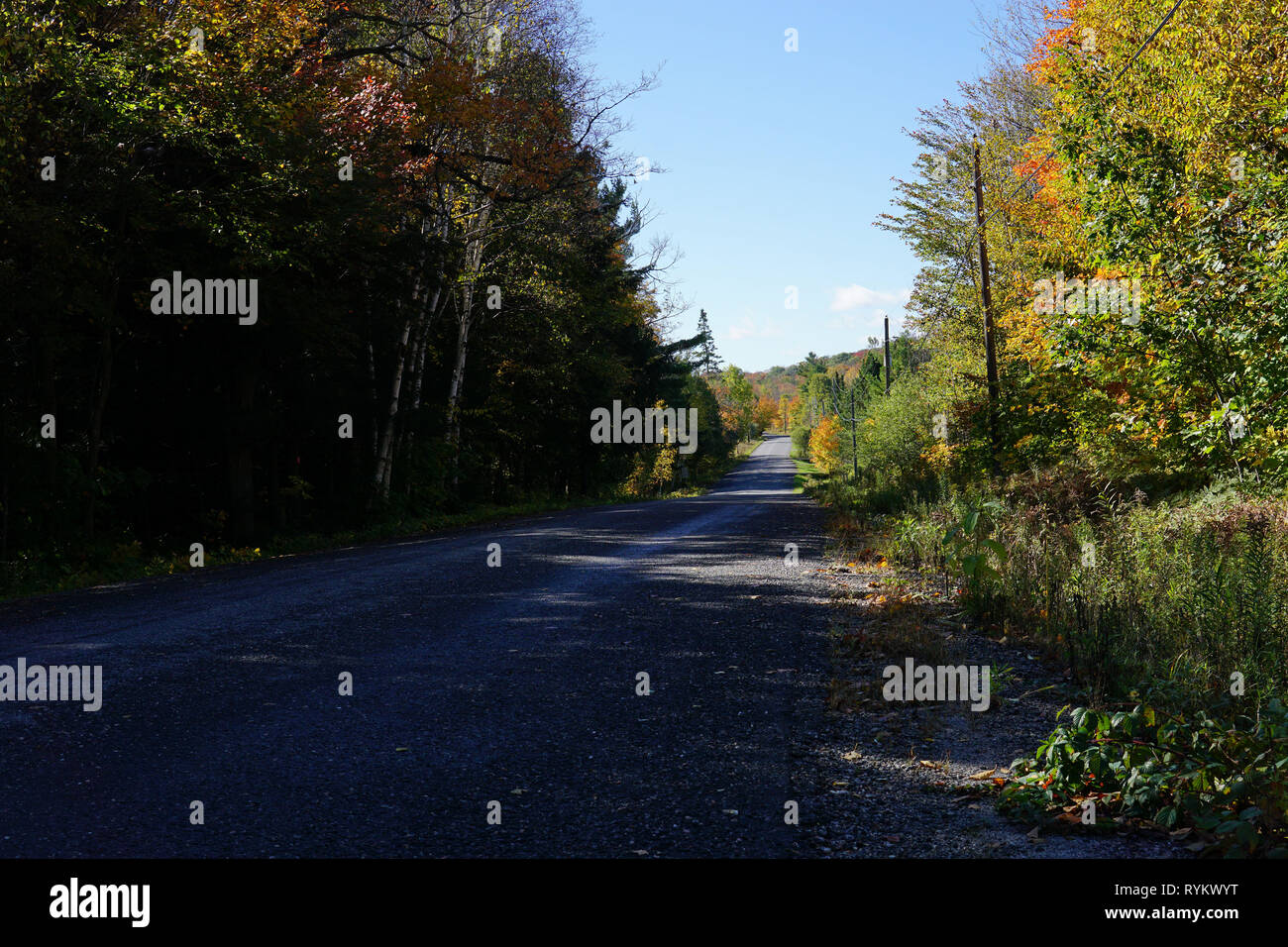 Fall Colours in Muskoka Stock Photo - Alamy