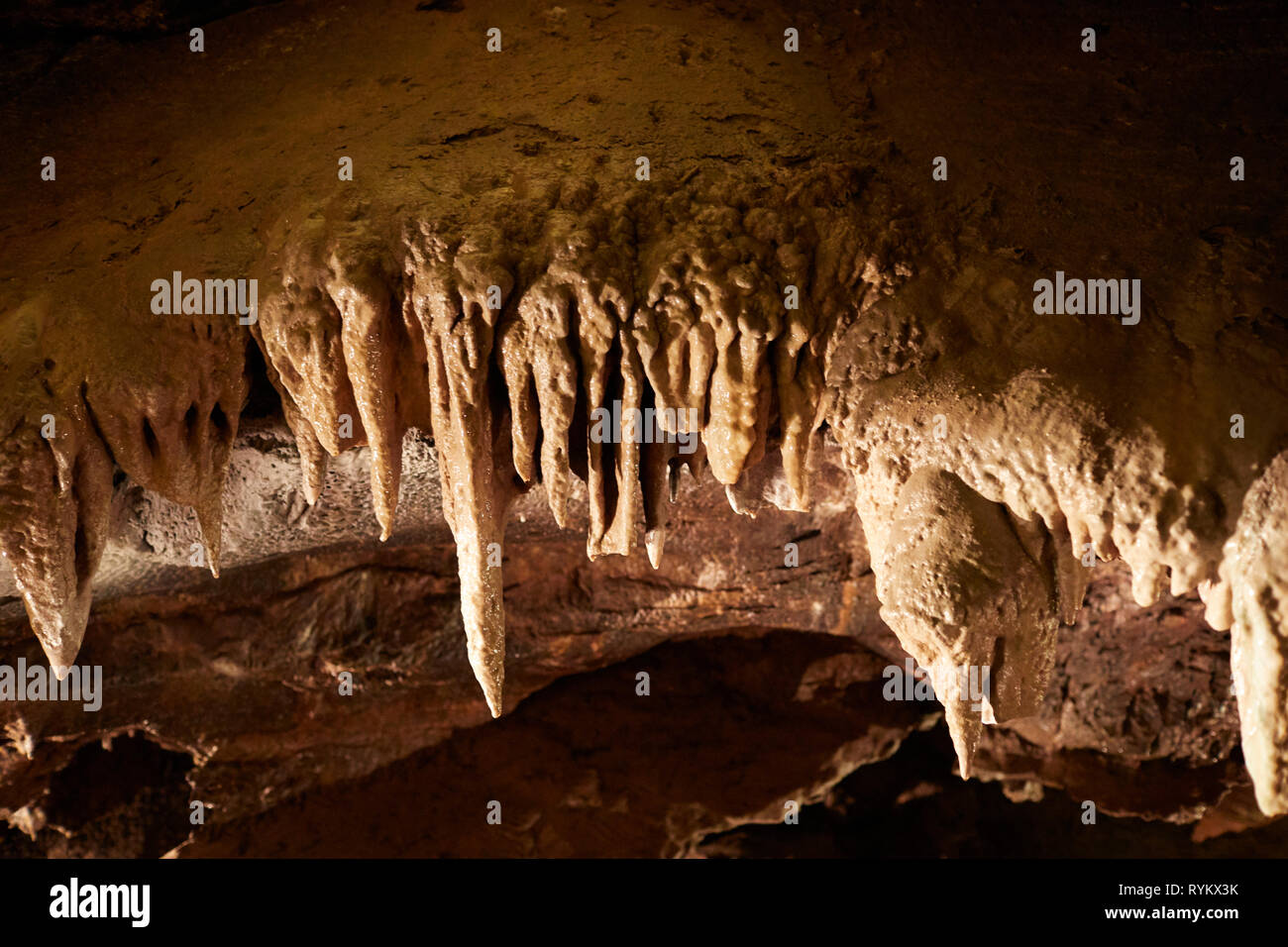 Dan yr ogof caves, wales hi-res stock photography and images - Alamy