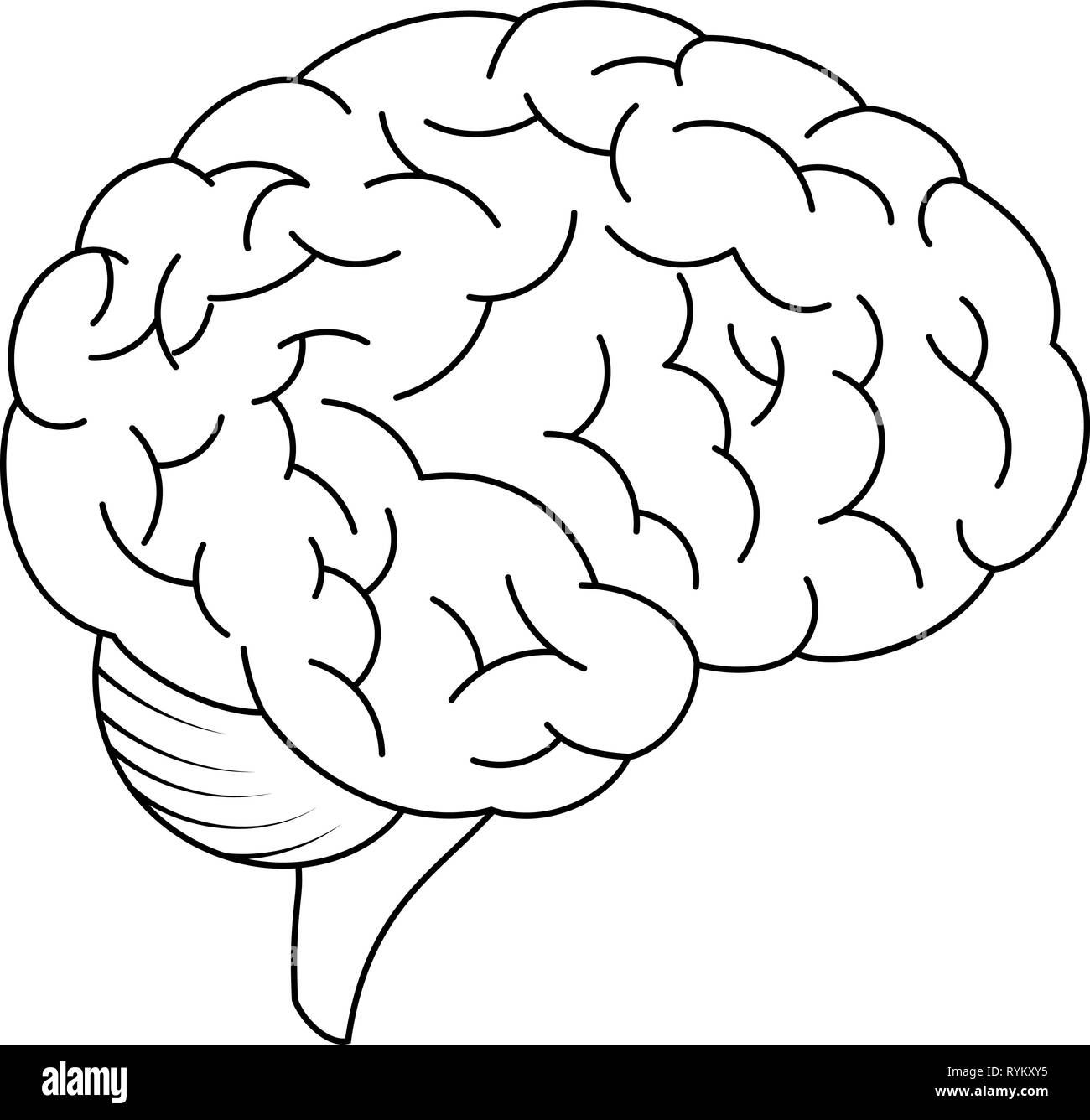 Brain vector icon Stock Vector Image & Art - Alamy