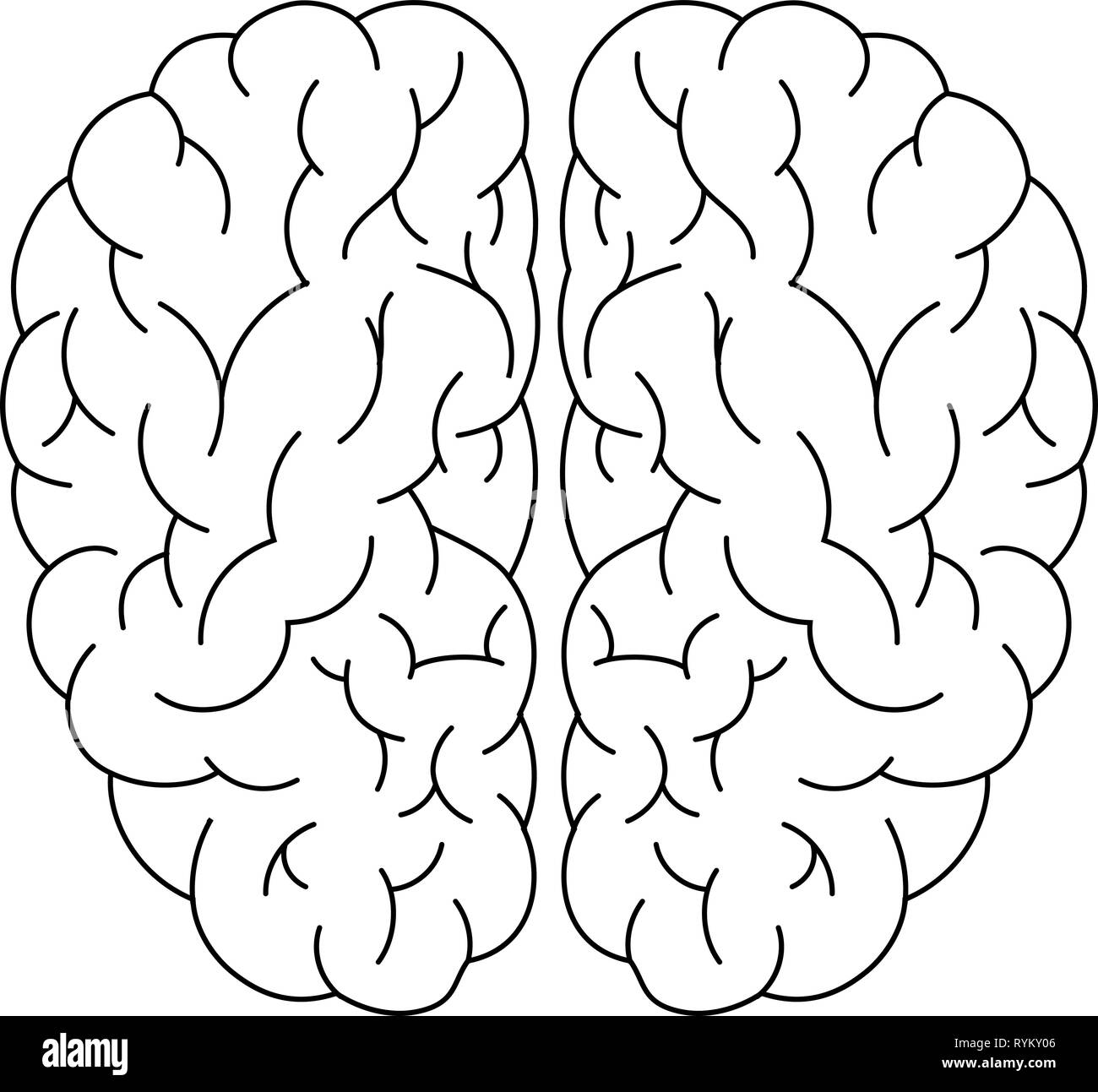 Brain vector icon Stock Vector Image & Art - Alamy