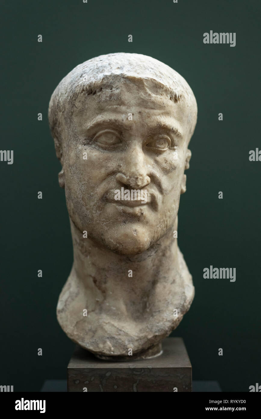 Constantius chlorus hi-res stock photography and images - Alamy