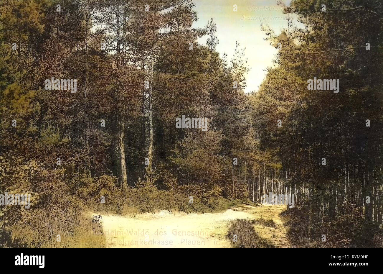 Forests in Saxony, 1906, Vogtlandkreis, Mühlhausen, bei Bad Elster, Im ...