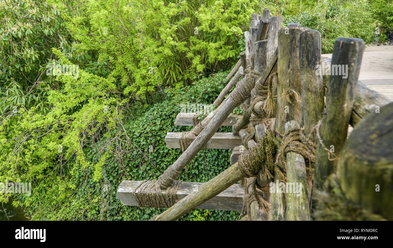 The wooden bridge in the middle of the forest with the rope tied on the ...