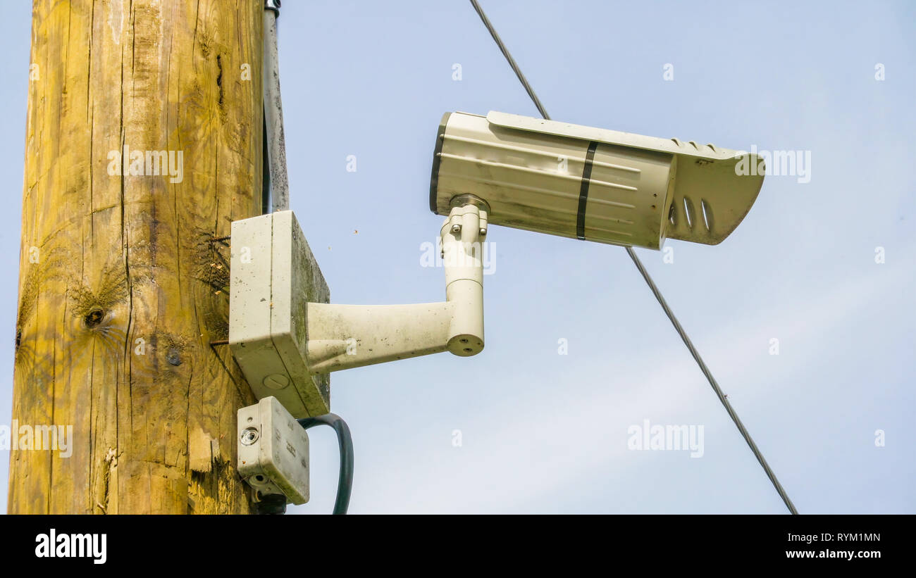 Tree mounted security camera hi-res stock photography and images - Alamy