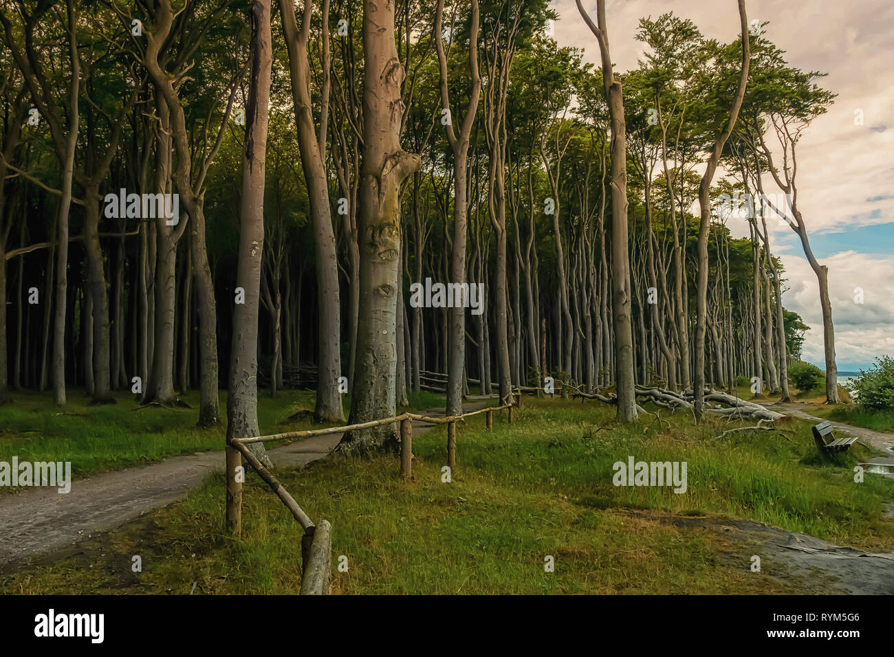 Nienhagen High Resolution Stock Photography and Images - Alamy