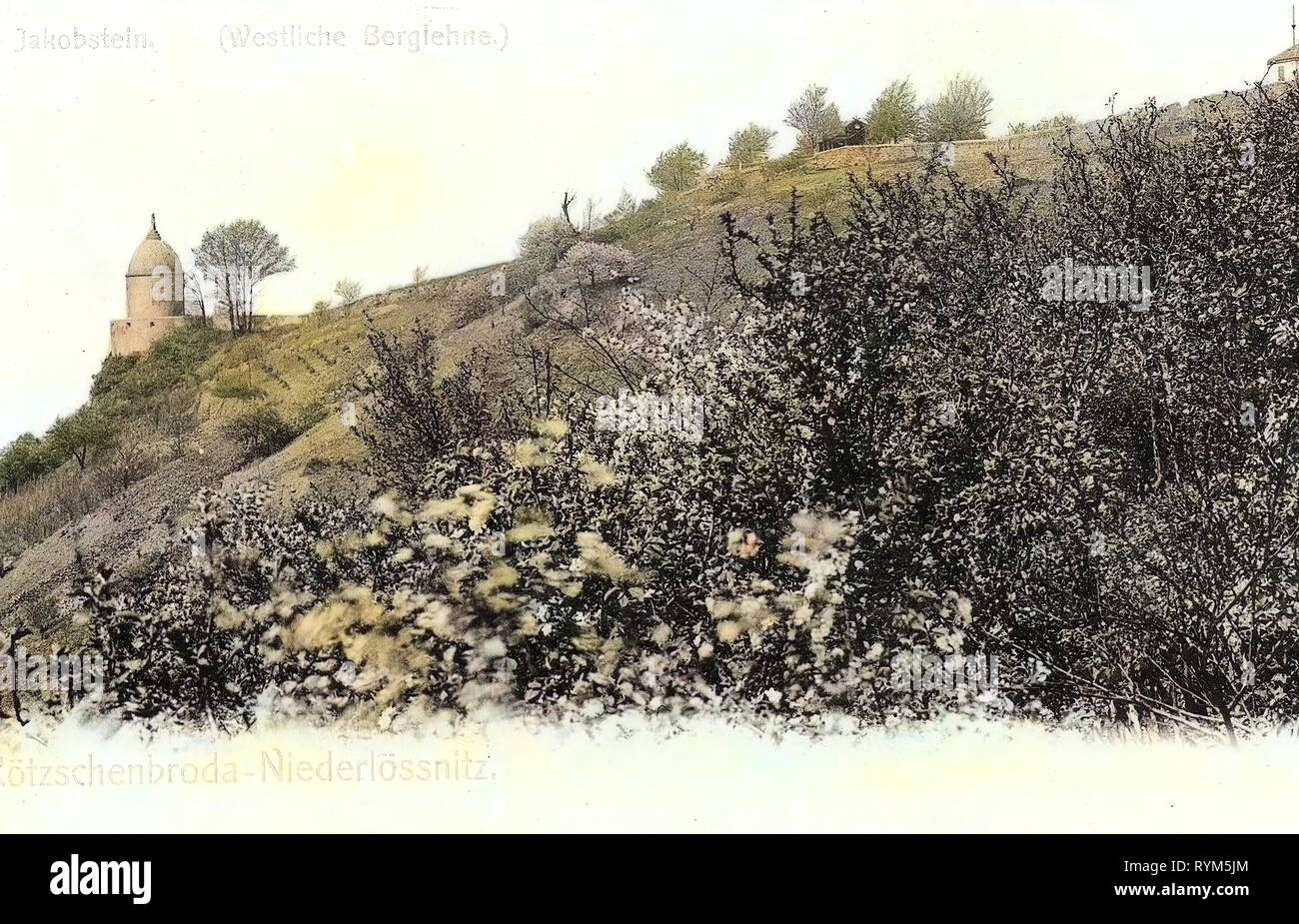 Jacobstein, 1903, Landkreis Meißen, Kötzschenbroda, Niederlößnitz ...