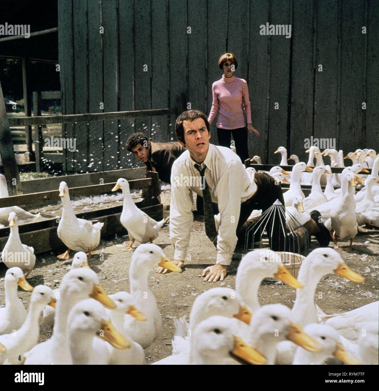 The million dollar duck (1971) hi-res stock photography and images - Alamy