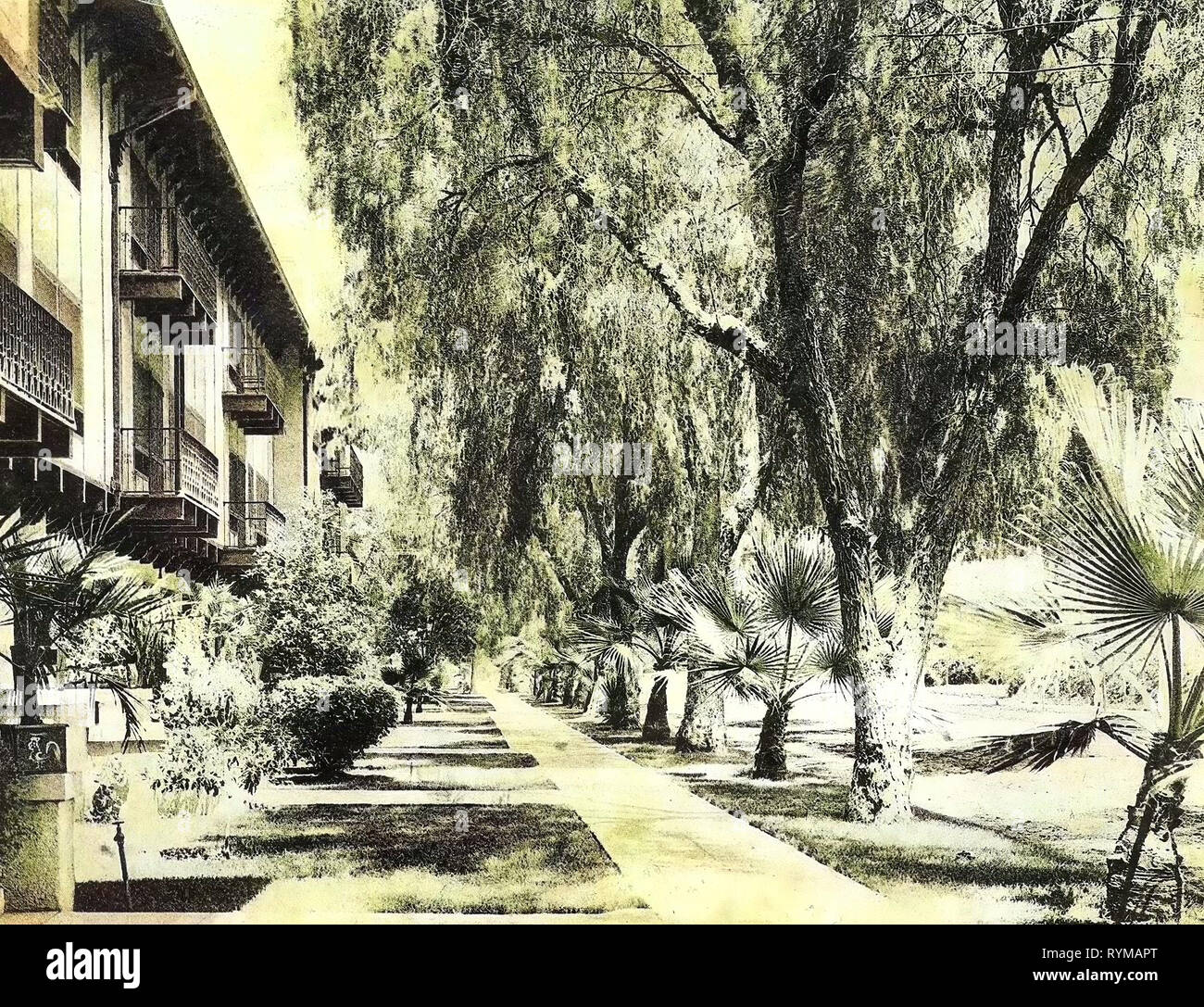 Historical images of buildings, Palms in art, Unidentified locations in ...