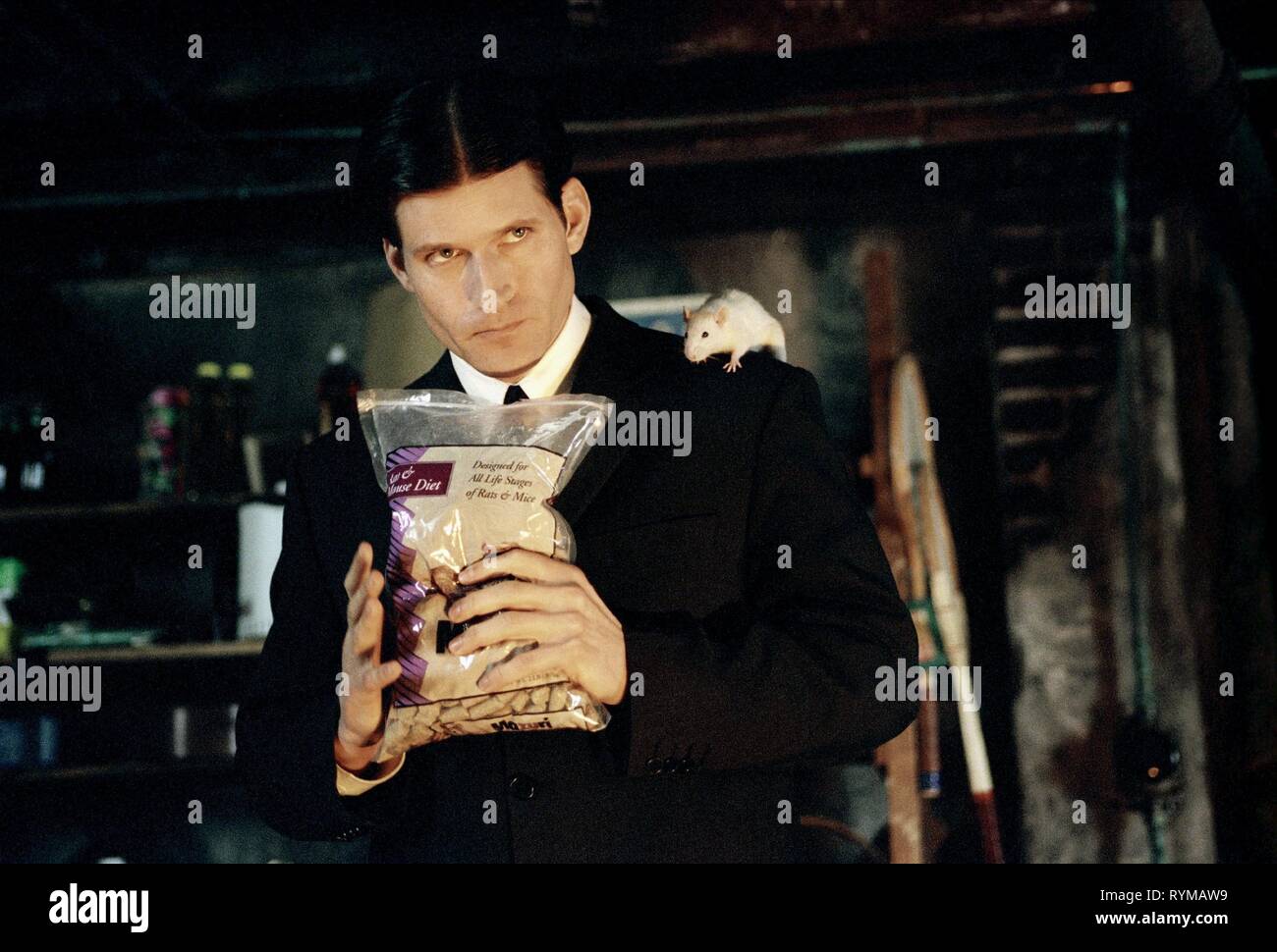 Comedy Rodent High Resolution Stock Photography and Images - Alamy