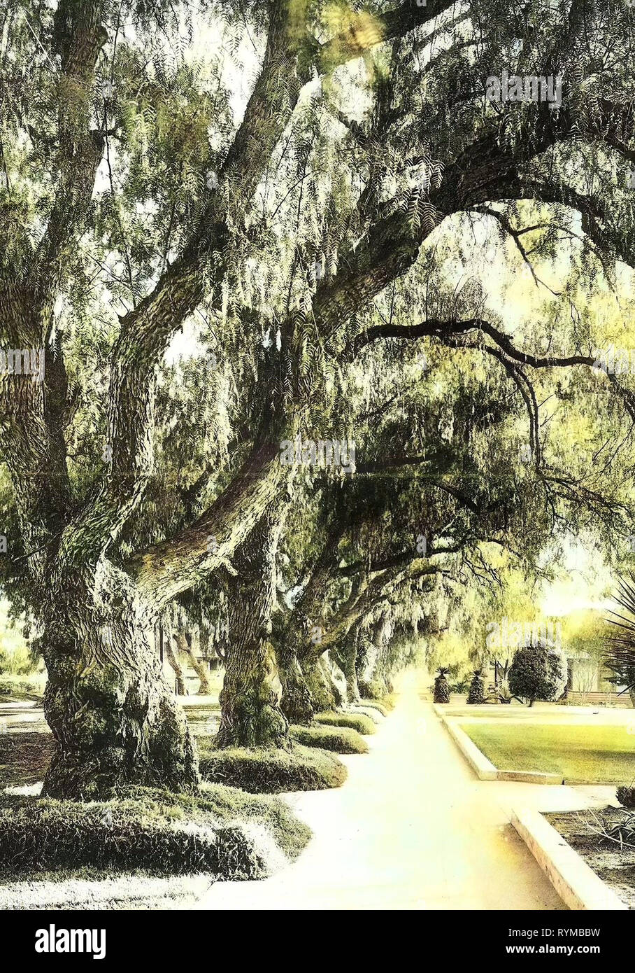 Straight avenues, Unidentified locations in the United States, 1905 ...