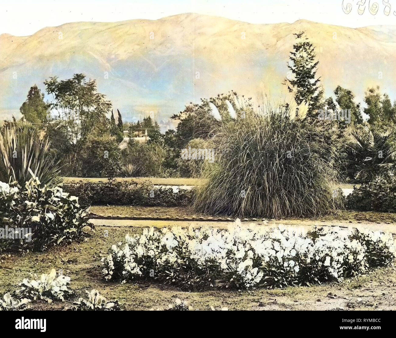 1905 postcards, Black and white photographs of gardens, 1905 Stock ...