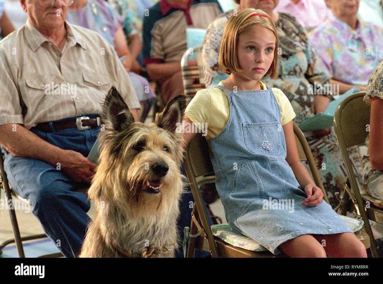 Because Of Winn Dixie High Resolution Stock Photography and Images - Alamy