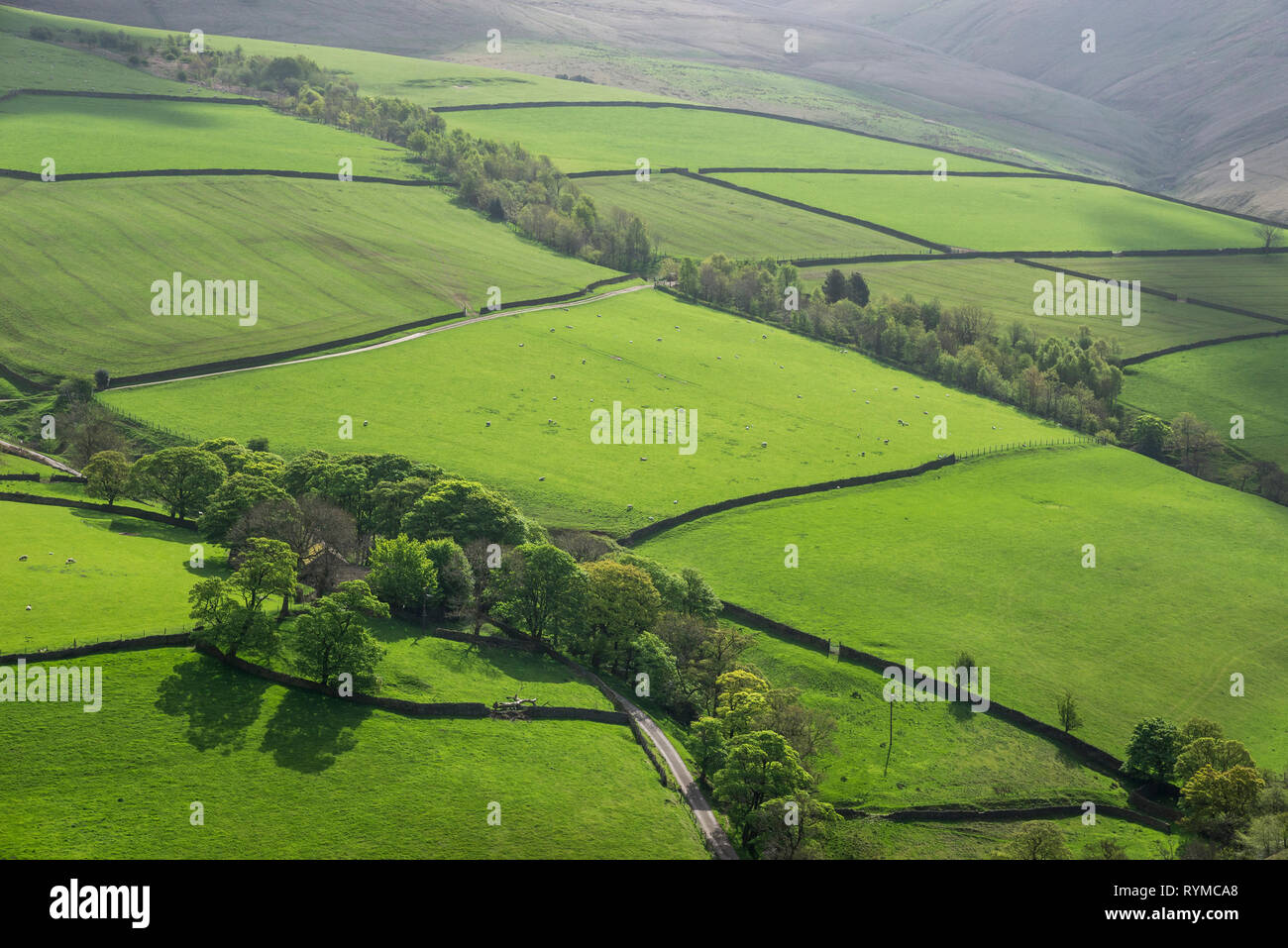 Green fields in the English countryside near Hayfield, Derbyshire Stock ...