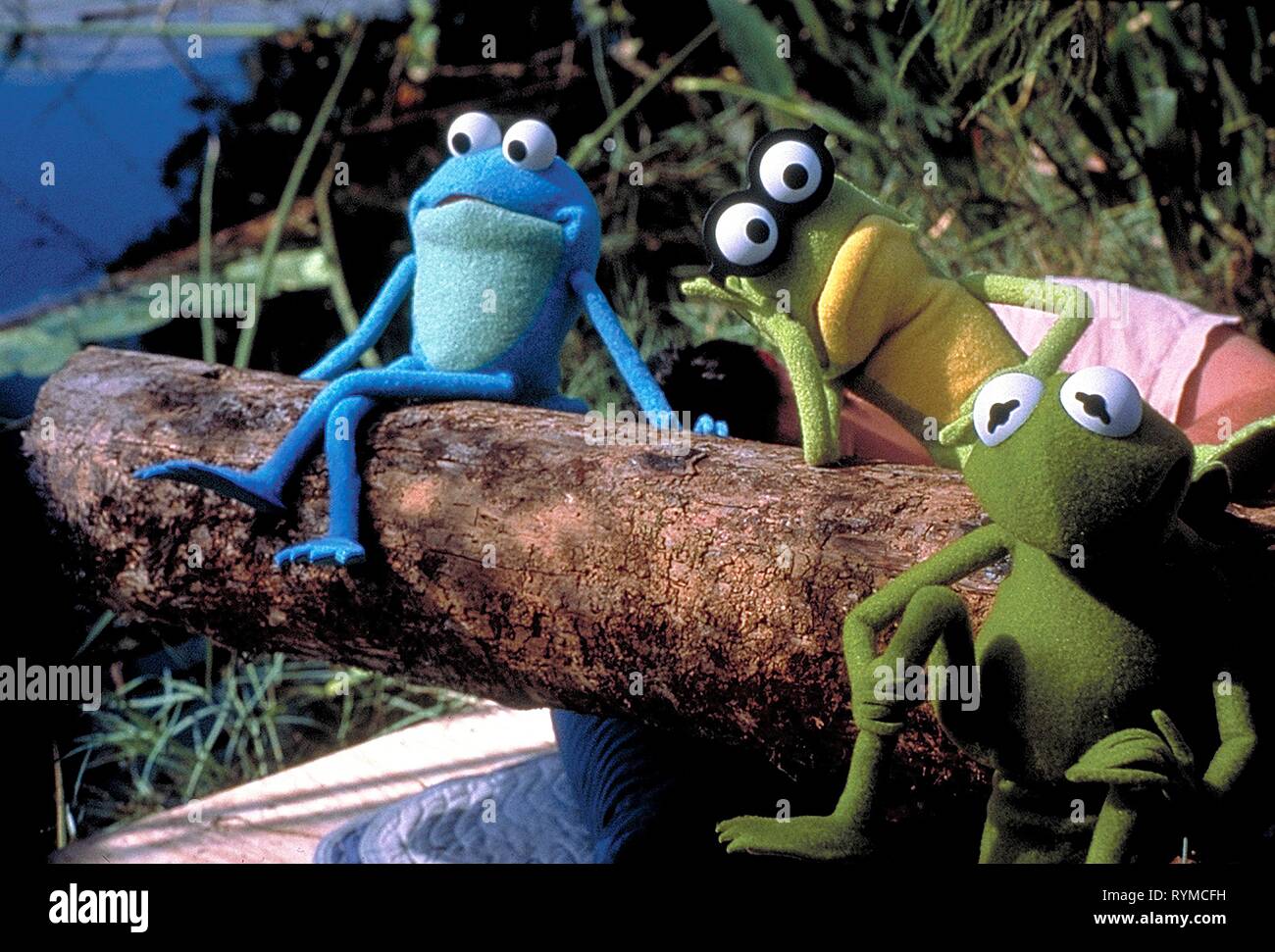 Der Frosch Stock Photos & Der Frosch Stock Images - Alamy