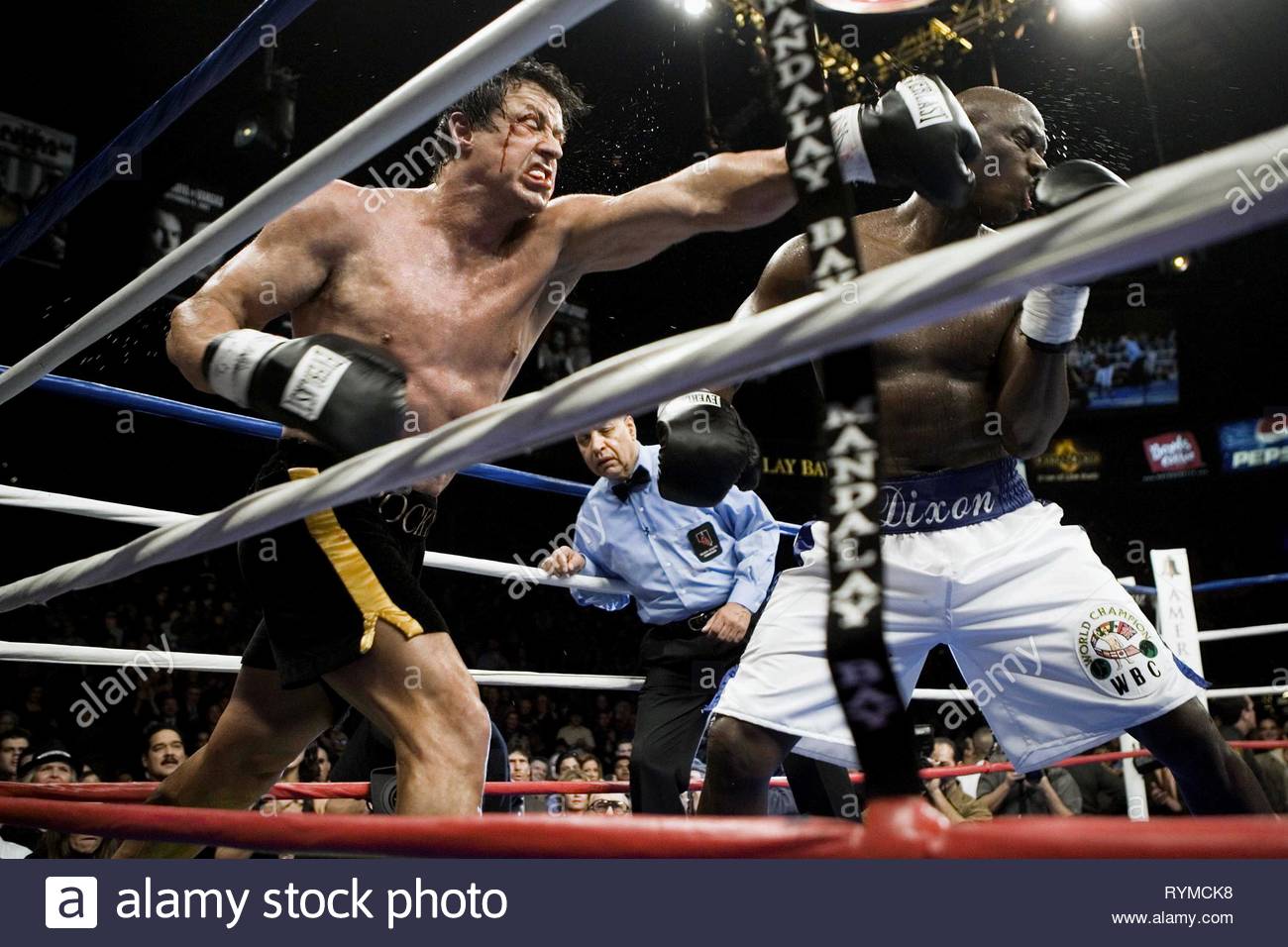 Rocky Balboa Sylvester Stallone 2006 High Resolution Stock Photography ...