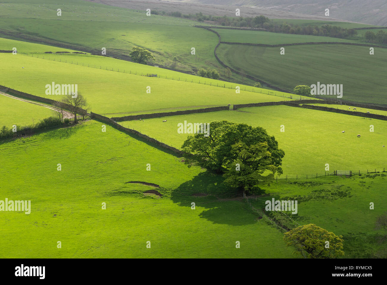 Rich green fields in the English countryside in mid May. Slopes near ...