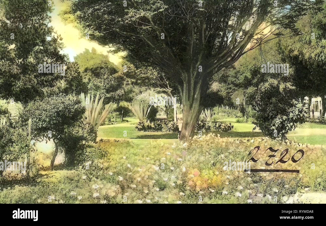 Parks in California, Colton, California, 1906, Colron, Cal., Park ...