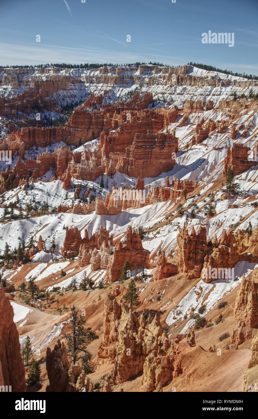 Portrait of the red spires of Bryce Canyon Stock Photo - Alamy