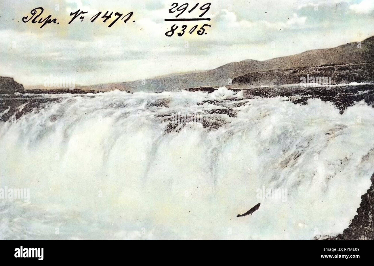 Celilo Falls, 1906 in Oregon, Jumping salmon, Oregon, 1906, I eaping ...