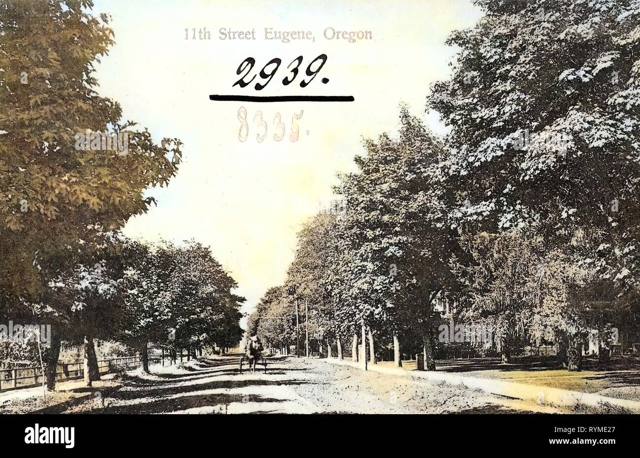 Horses of Oregon, Horse-drawn carriages in the United States, Avenues ...