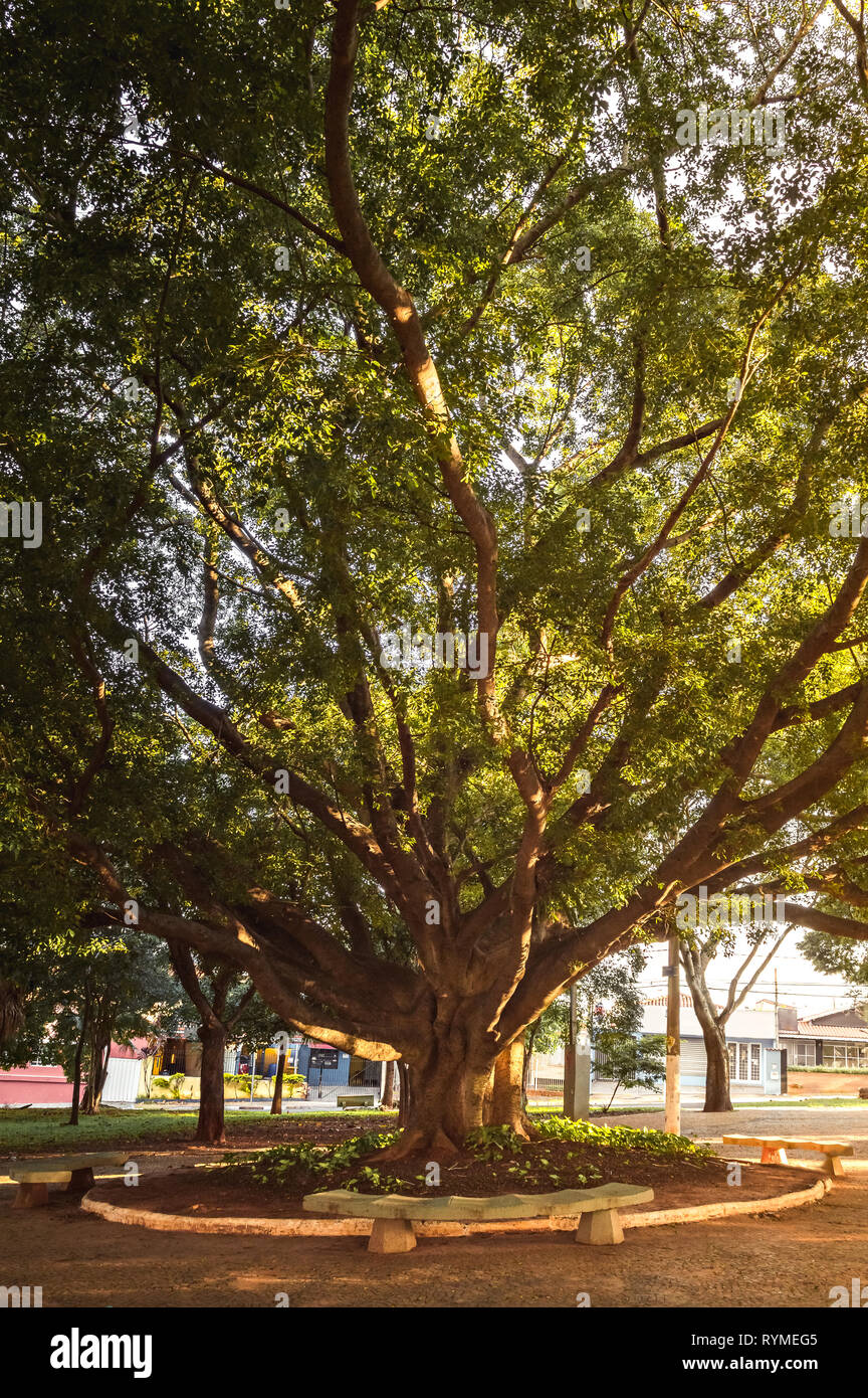 Centennial neighborhood hi-res stock photography and images - Alamy