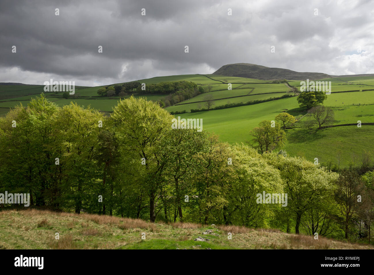 The English countryside in mid May. Countryside around Hayfield in the ...