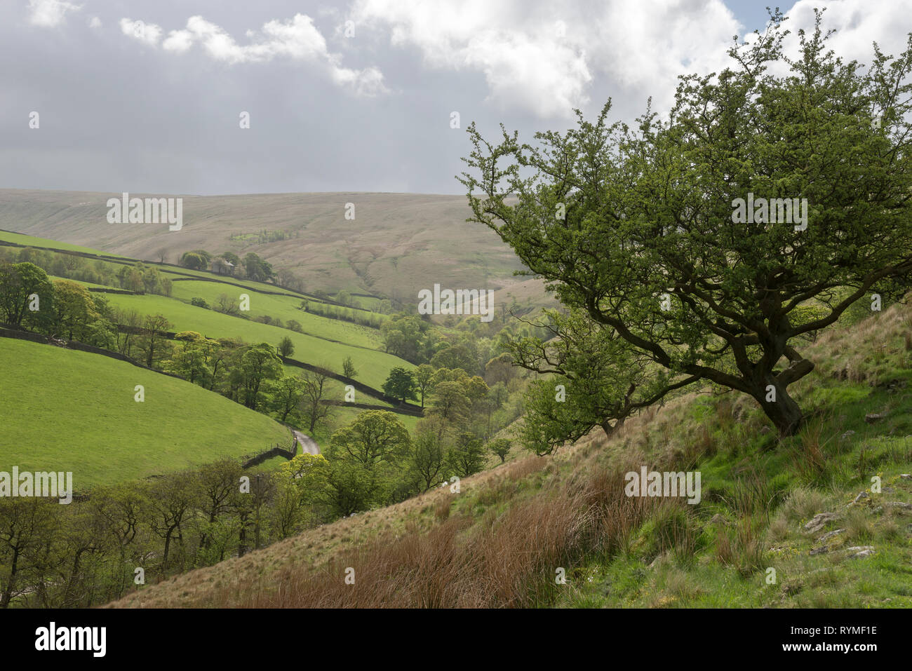 Spring day in the hills near Hayfield in the Peak District national ...