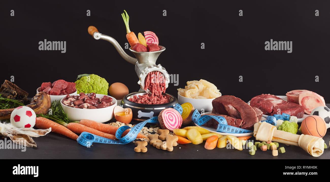 Ingredients For BARF Food For Dogs In Panoramic Picture Against Black Background Preparing Meat ingredients-for-barf-food-for-dogs-in-panoramic-picture-against-black-background-preparing-meat