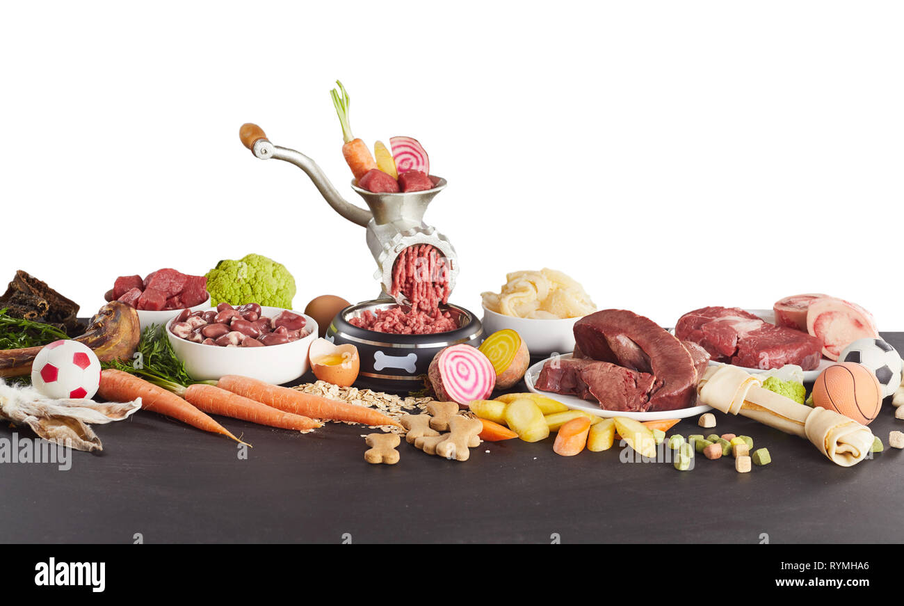 Visceral organs hi-res stock photography and images - Alamy