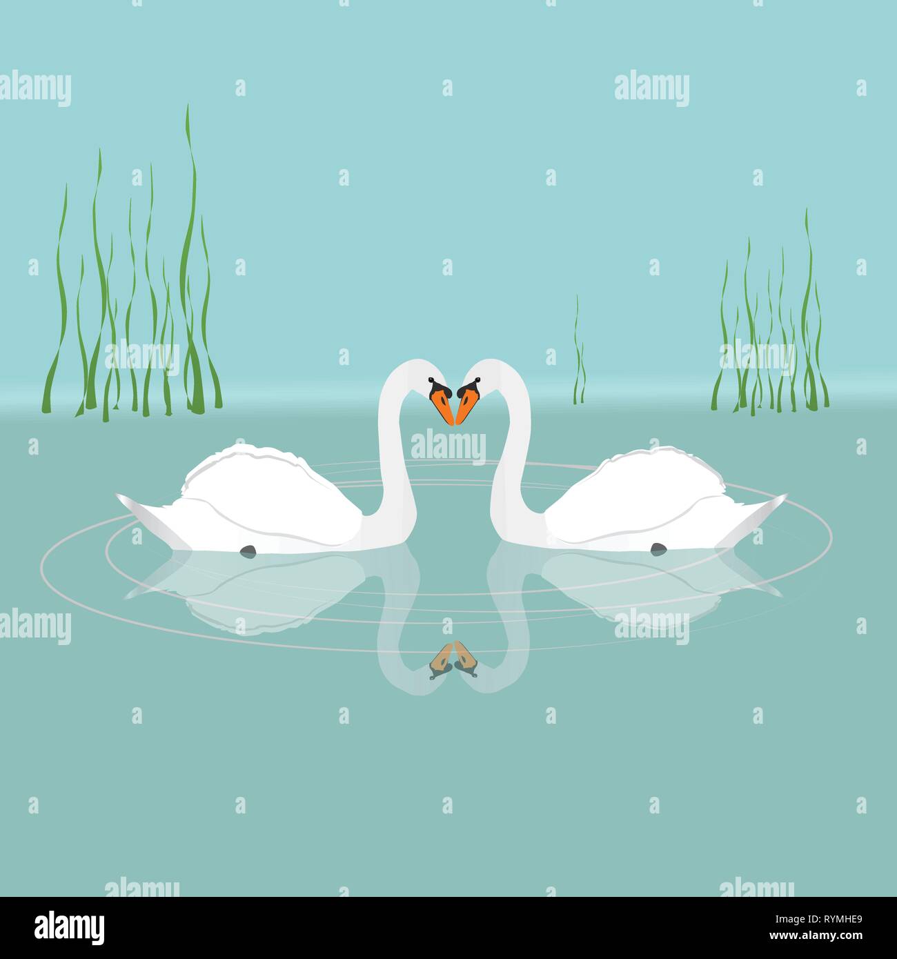 Two swan in river Stock Vector Images - Alamy