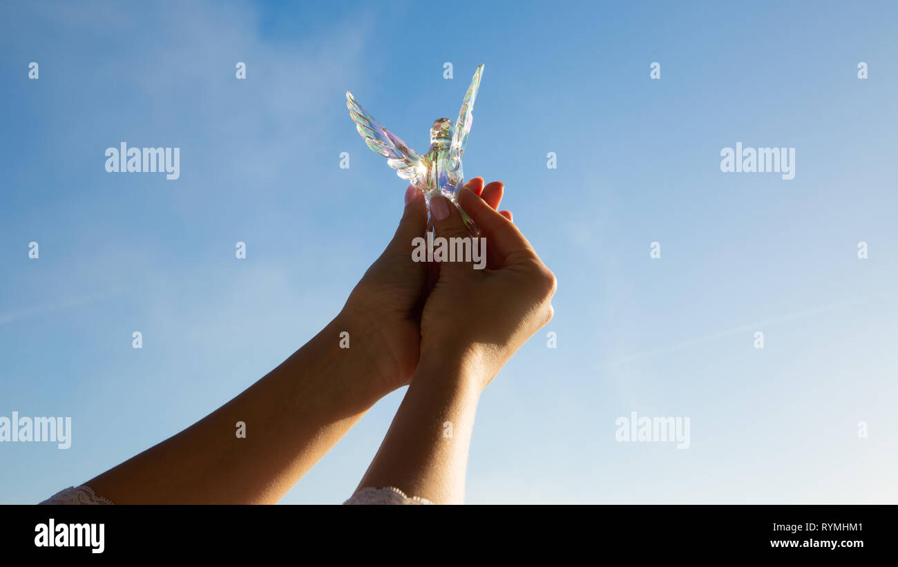 Woman releasing bird hi-res stock photography and images - Alamy