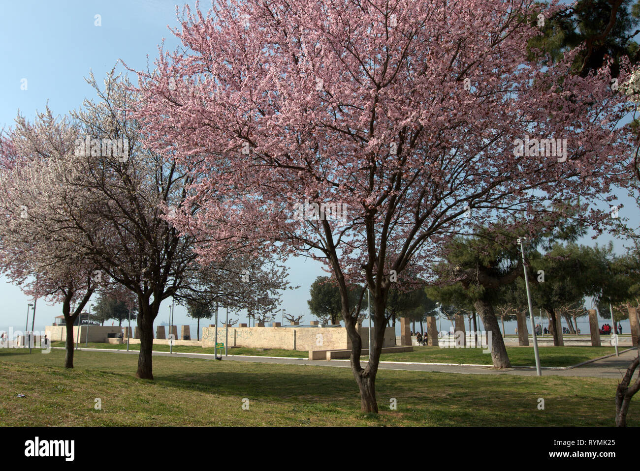 Thessaloniki at spring hi-res stock photography and images - Alamy