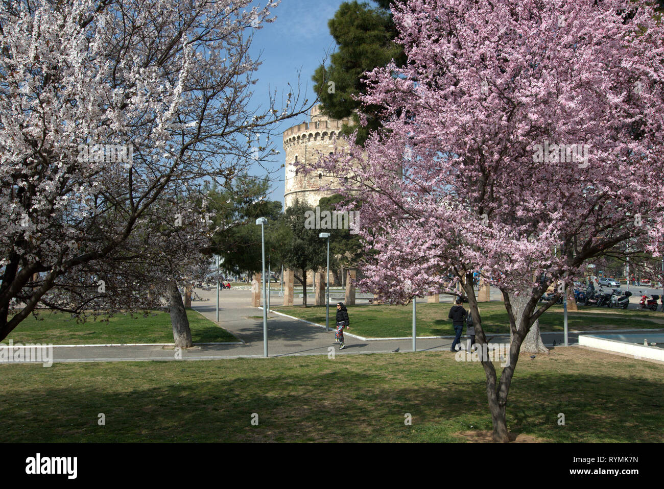Blossoming cherry trees at a park in Thessaloniki, Greece Stock Photo ...