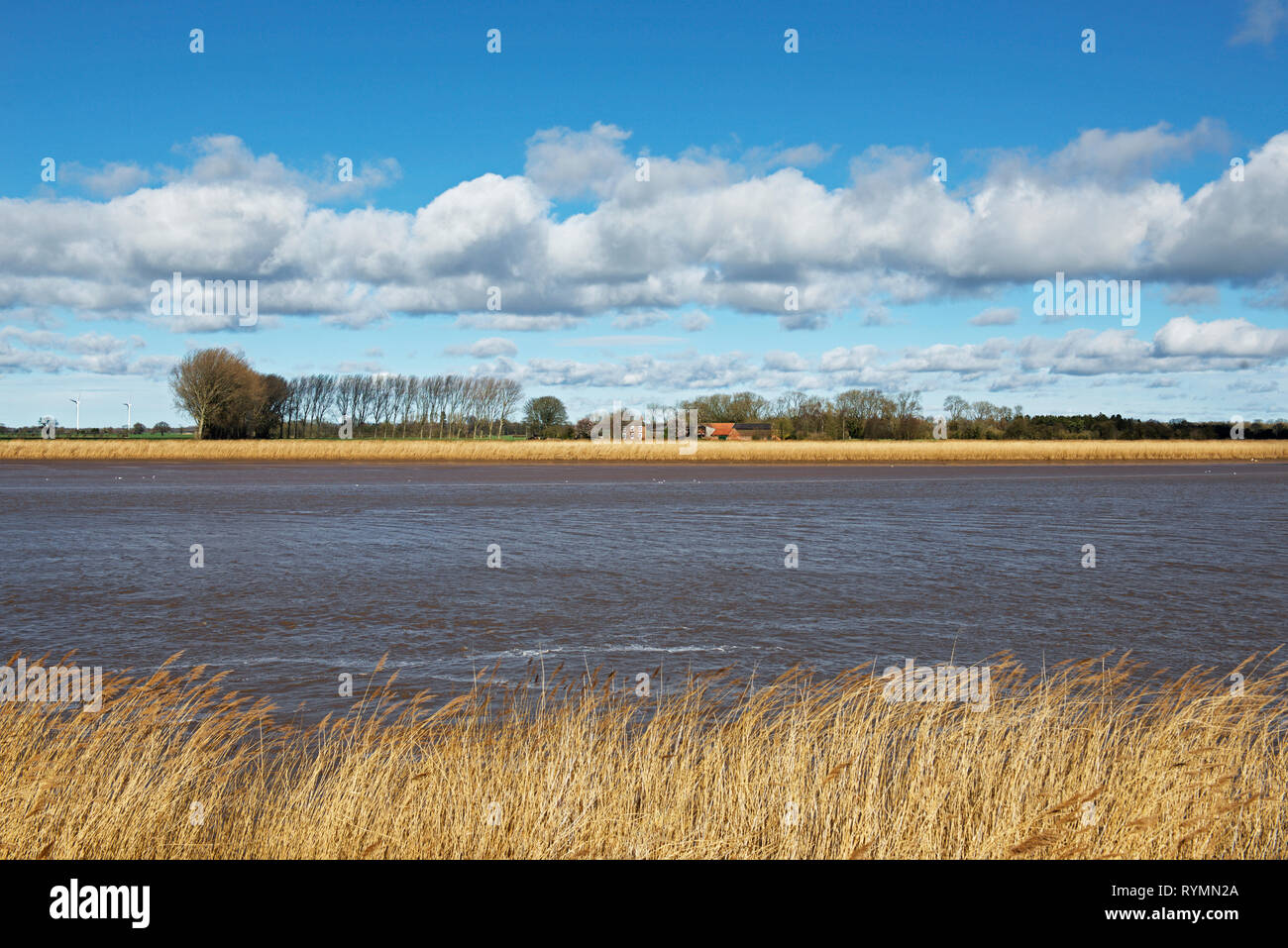 The River Ouse, East Riding of Yorkshire, England UK Stock Photo - Alamy
