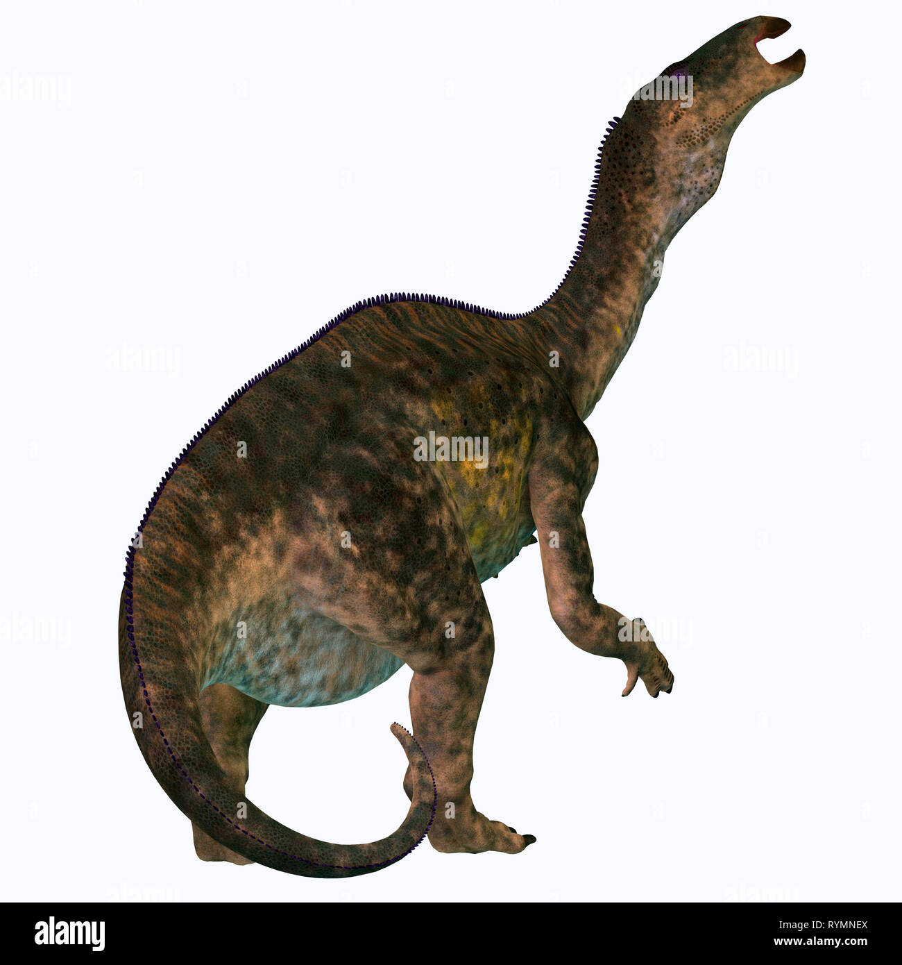 Ornithopod dinosaur giant hi-res stock photography and images - Alamy