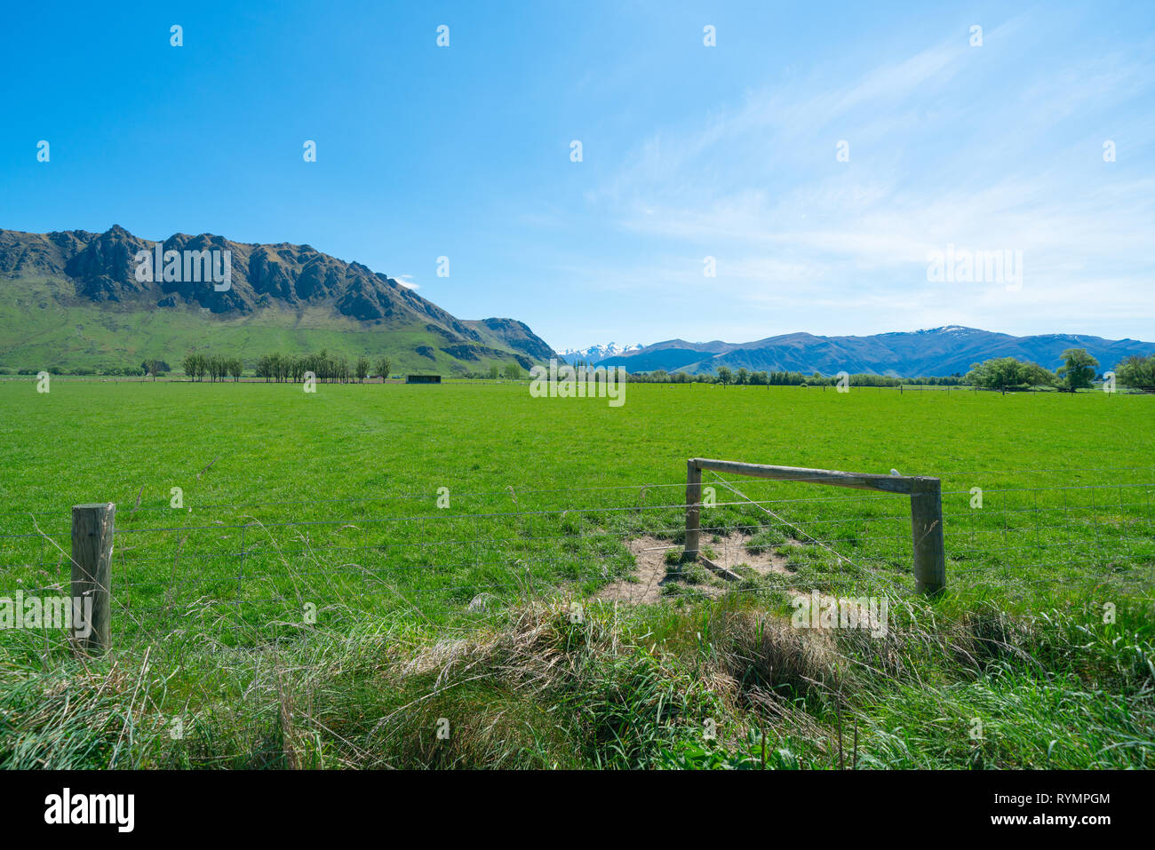 Distant mountain s beyond emerald green South Island pasture in rural ...