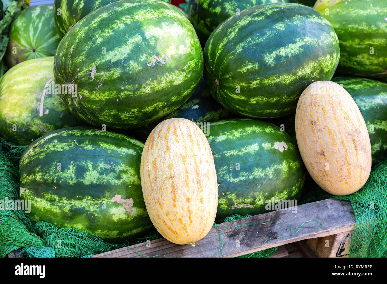 Fresh watermelons and melons ready to sale at the local farmers market ...