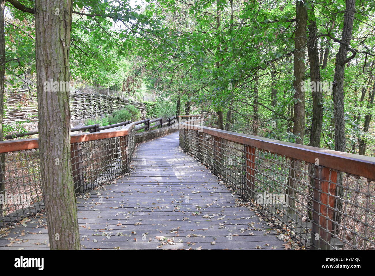 Nature Scene Forest Path Landscape Portrait Stock Photo Stock Photo - Alamy