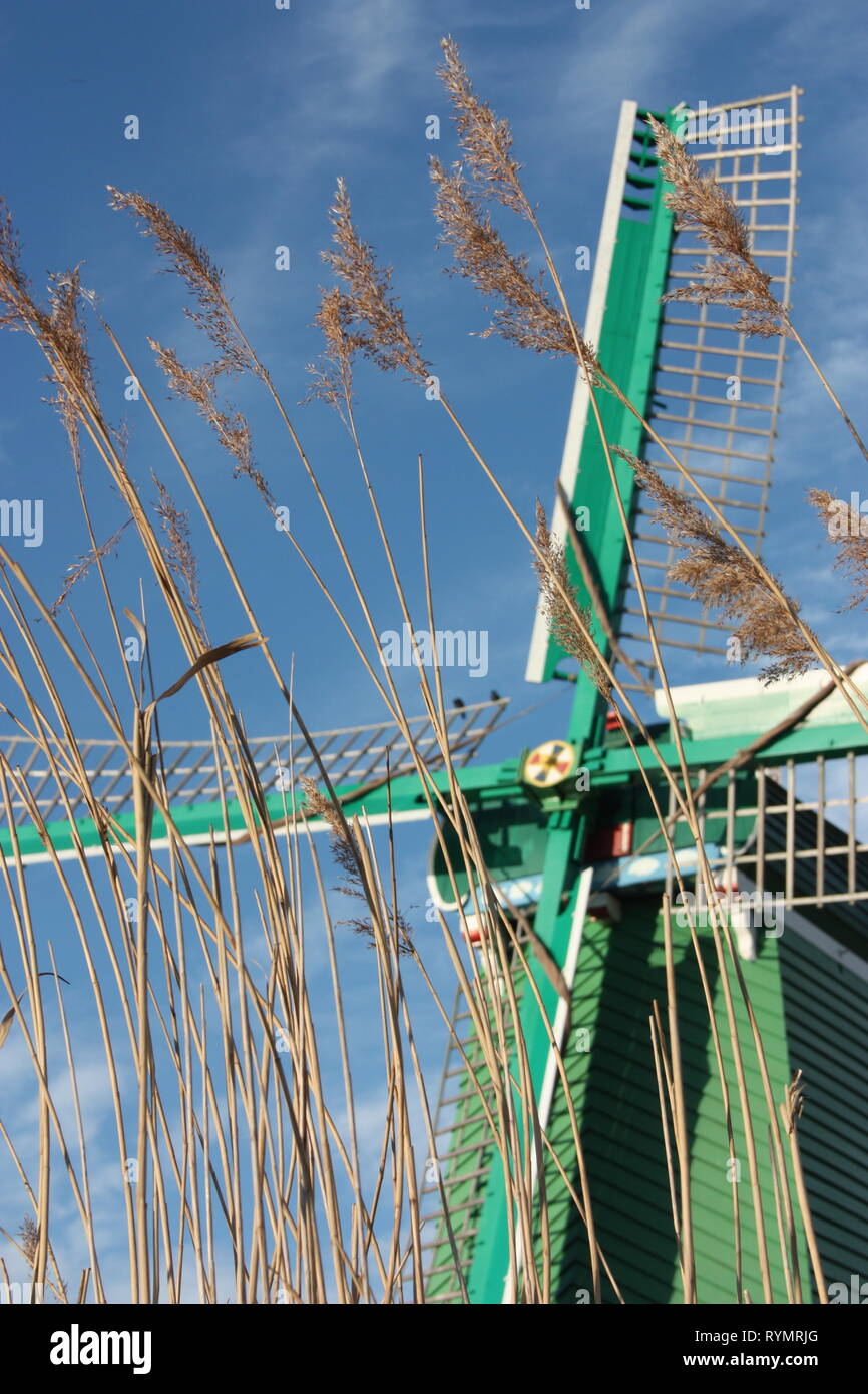 Dutch ancient windmill built from wood. typical structure of the ...