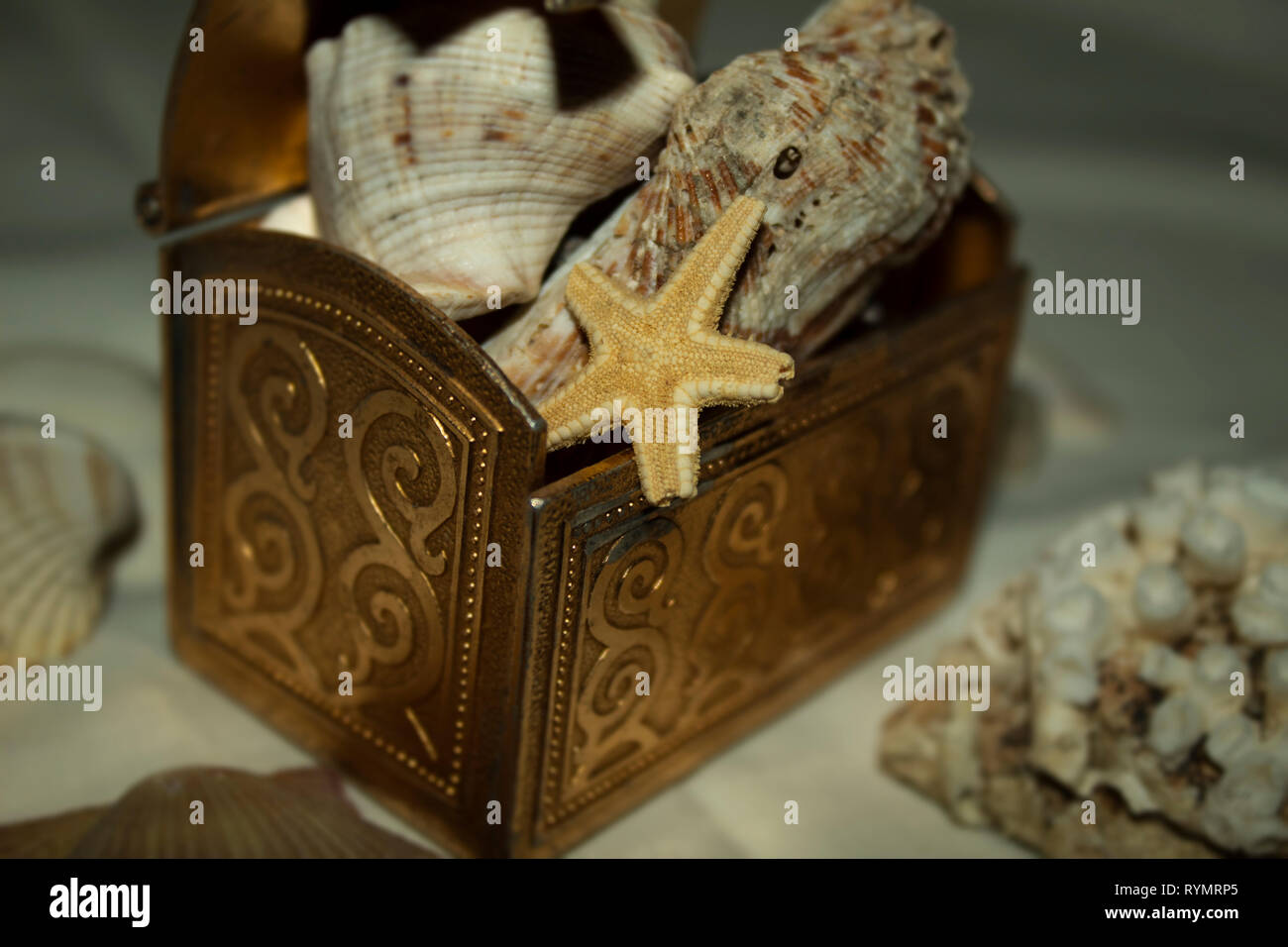 Treasure of the sea Stock Photo - Alamy