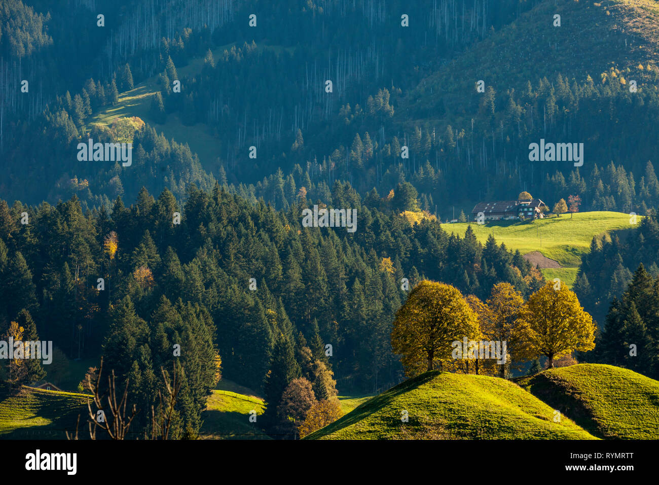 Autumn morning in Biosphere Entlebuch, Switzerland Stock Photo - Alamy