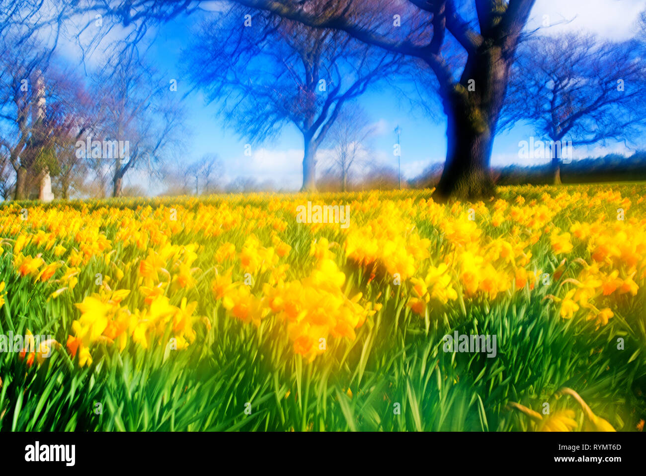 Wynyard hall hi-res stock photography and images - Alamy