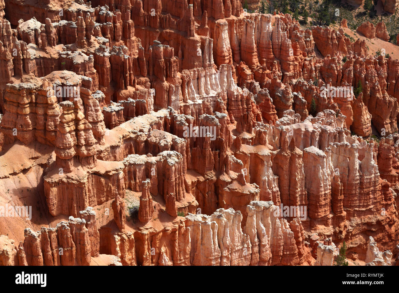 Bryce National Park, Utah, USA Stock Photo - Alamy